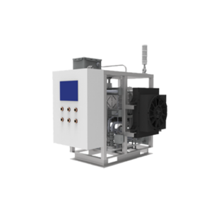 Low-Power Pure Hydrogen Fuel Cell Power Module for Clean Energy Solutions
